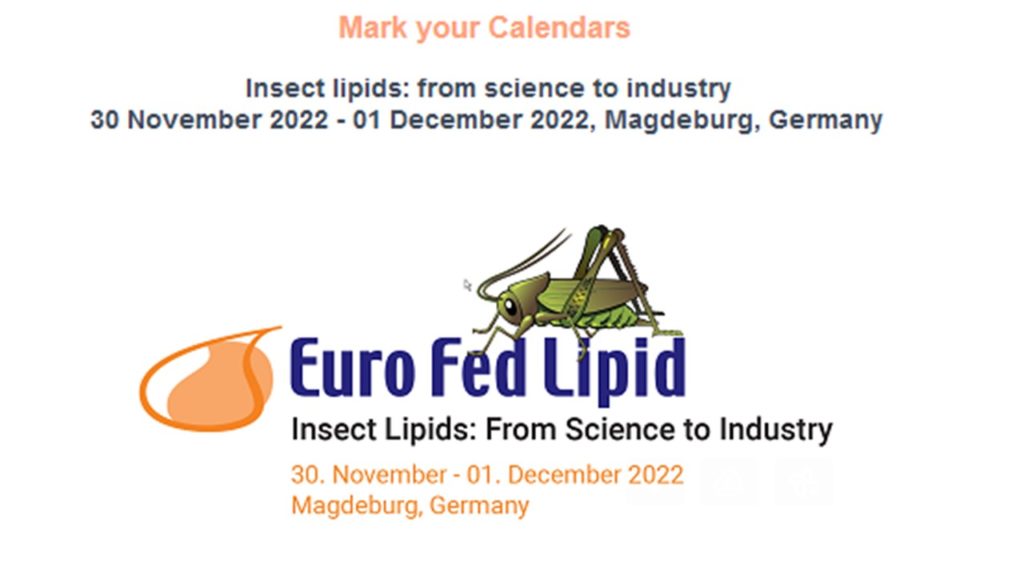 Insect lipids as novel source for future applications: from science to ...